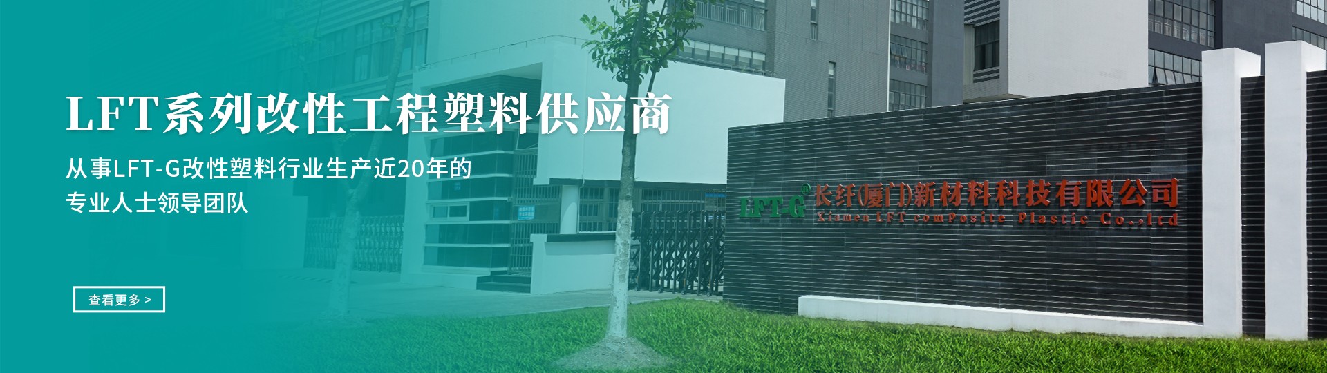 公司产品LFTG